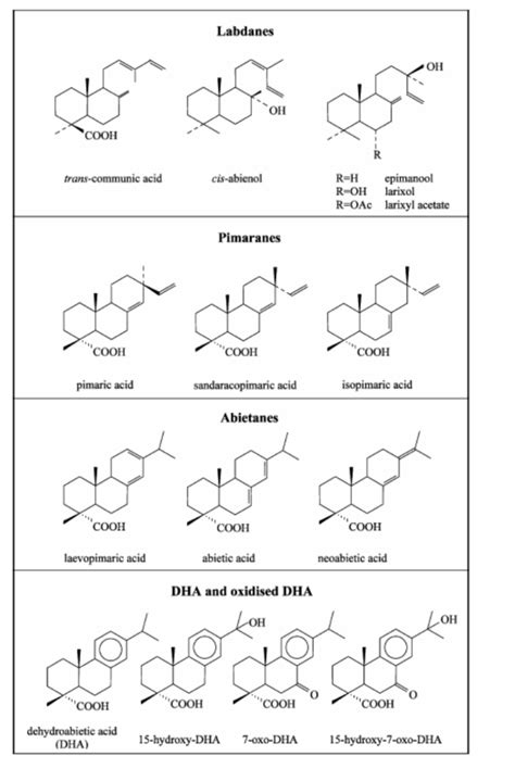 Characterization Of Natural Organic Binding Media Used In Artworks