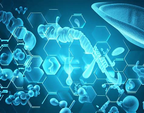 Arka Omuz Kasları İçin En Etkili 5 Egzersiz Fitness Dergisi