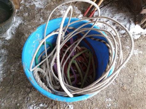 Tub W Leads Lasso Integrity Auctioneers