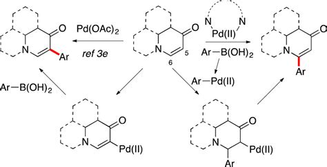 Boronheck Reaction Of Cyclic Enaminones Regioselective Direct