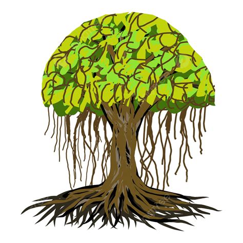 Best 12 Banyan Tree Vector Illustrations Hand Drawn Art Banyan Tree