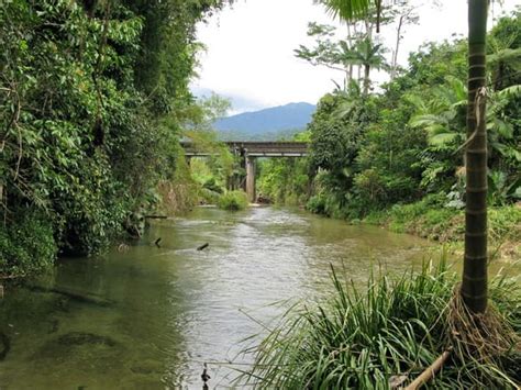 171 Bartle Frere Road Bartle Frere Qld 4861 Aanda Realty