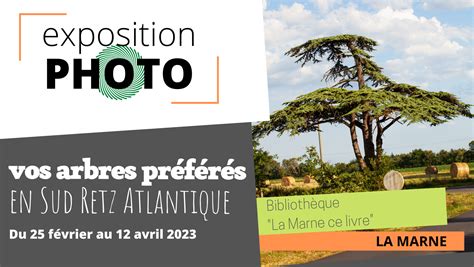 La Marne Exposition Vos arbres préférés en Sud Retz Atlantique