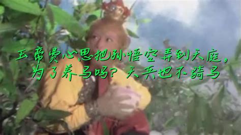 （第八十一集）玉帝费心思把孙悟空弄到天庭，为了养马吗？天兵也不骑马 Youtube