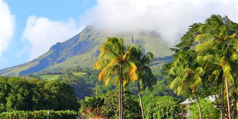 Home Martinique Tour By Guide Bois Lélé