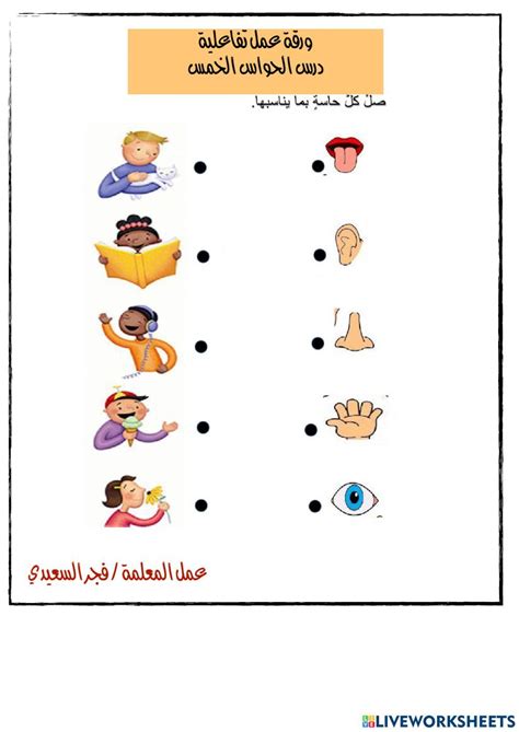 درس الحواس الخمس 5246620 Fajeralsaeedi01 Live