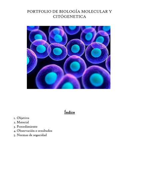 Portfolio De Biología Molecular Y Citogenética Corrección Pdf