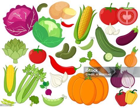 Vegetables Illustration Set Stock Illustration Download Image Now