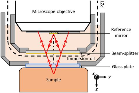 Detailed Schematic Of The Mirau Interferometer The Red Lines Represent Download Scientific