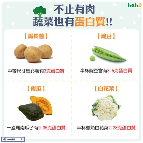 不止有肉蔬菜也有蛋白質 Heho健康
