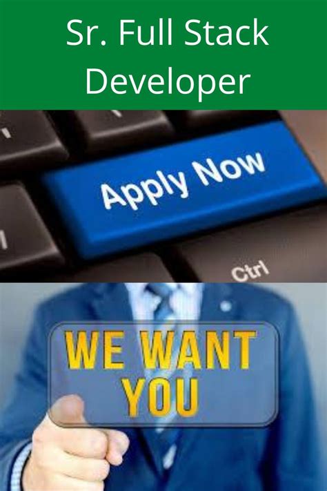 sr full stack developer web api full stack developer web based