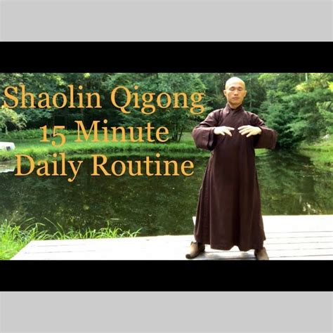 Shaolin Qigong 15 Minute Daily Routine Free Full Body Workout By Alex