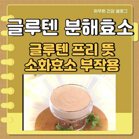 글루텐 분해 효소 글루텐 프리 뜻 소화효소 부작용 네이버 블로그