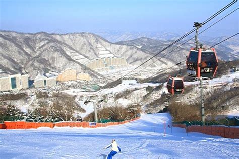 홍천 비발디파크 스키장 J패스 1월 무제한 리프트권 투어비스 투어and액티비티
