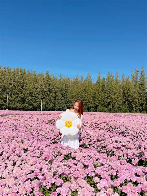 สวนดอกไม้สีชมพู🌸🌿 น่ารักทุกมุมเลย เข้าฟรี แกลเลอรีที่โพสต์โดย