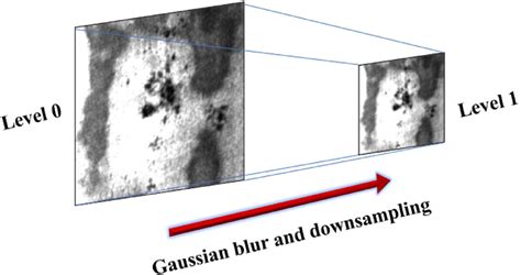 Figure From Design Of Multi Receptive Field Fusion Based Network For Surface Defect Inspection