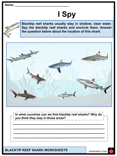 Black Tip Reef Shark Attacks