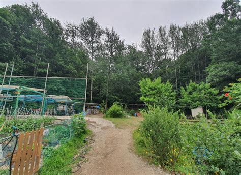 채소정원주말농장 초록이미지 채소정원