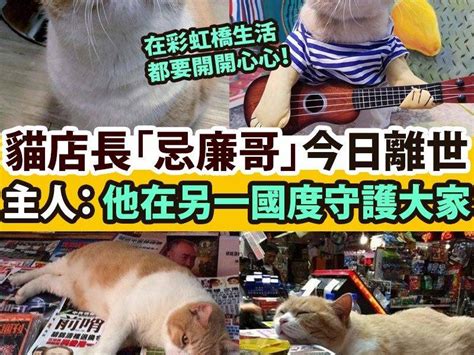 網絡熱話】｜尖東報攤貓店長「忌廉哥」離世 新假期facebook 新假期