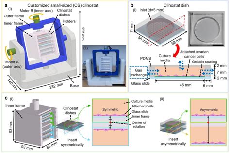 Design Of Cs Clinostat And Polydimethylsiloxane Pdms Based Clinostat
