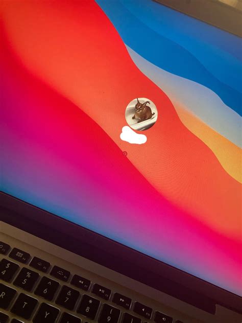 Mac Not Logging In After Smc Reset Rbigsurpatcher