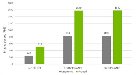Training With Custom Pretrained Models Using The Nvidia Transfer