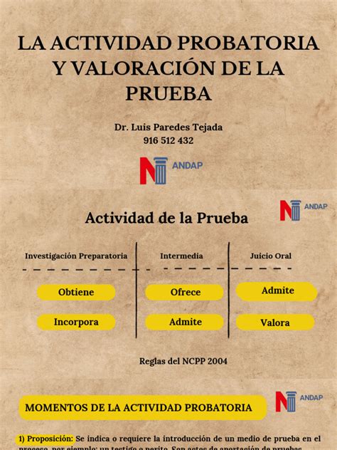 Actividad Probatoria Andap Pdf Evidencia Ley Caso De Ley