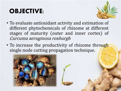 Single Node Technique Ppt