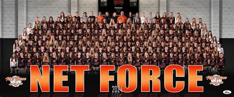 Net Force