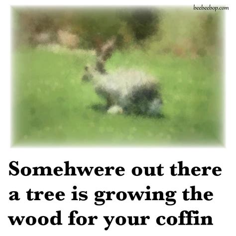 Cute Rabbit Imgur Cute Rabbit Imgur