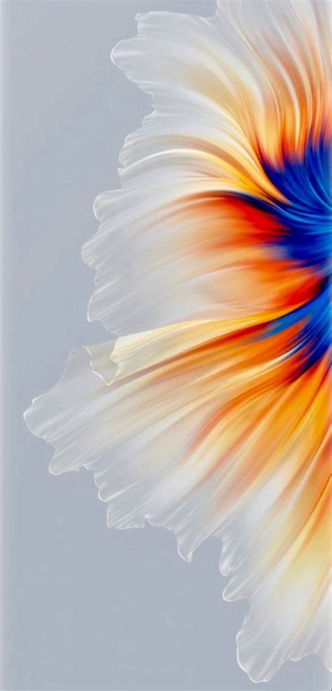 Phone Wallpaper Xiaomi Wallpapers Iphone Wallpaper Images