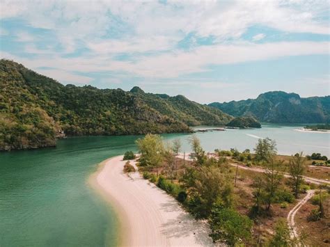 Langkawi Mangroves Tour Exploring The Flora And Fauna Ck Travels