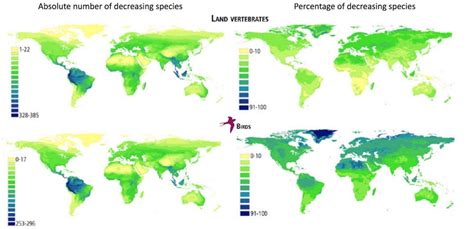 Vertebrate Declines And The Sixth Mass Extinction