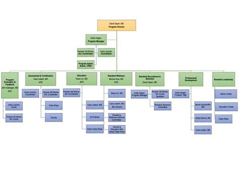 Residency Program Leadership Scalpel Stanford Medicine