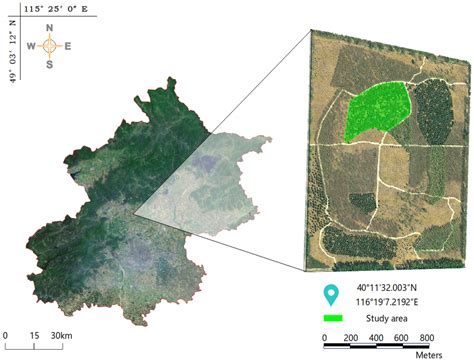 Remote Sensing Free Full Text Tree Crown Segmentation And Diameter