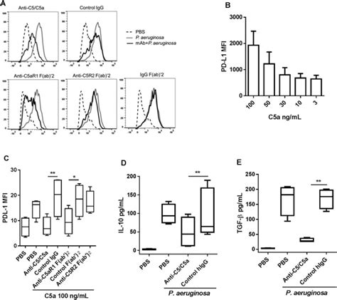 Complement C5a Induces Pd L1 Expression And Acts In Synergy With Lps