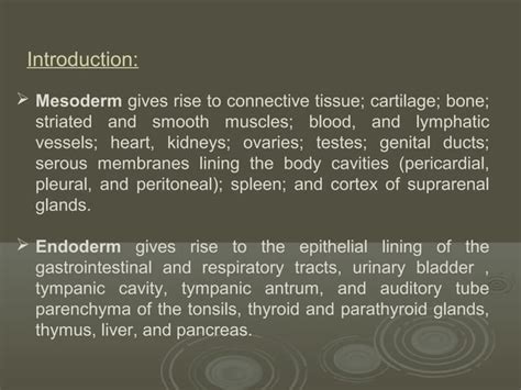 Embryology Of Branchial Arches Applied Anatomy By Osama Elhamzawy Ppt