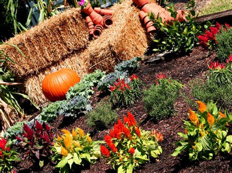 Kellogg Garden Organics™