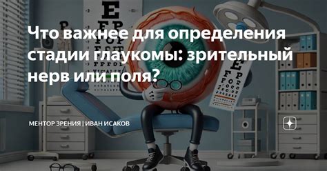 Что важнее для определения стадии глаукомы зрительный нерв или поля Ментор зрения Иван