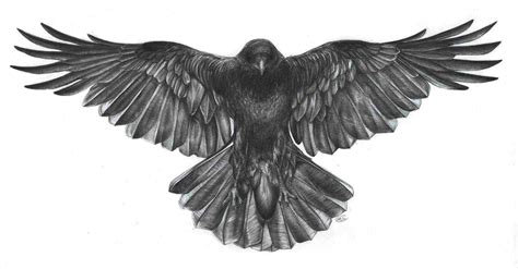 How To Draw Flying Crow