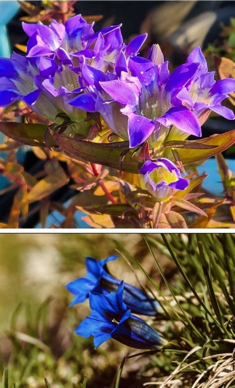 인간의 오만아니 인간의 호기심 그 끝은 어디인가