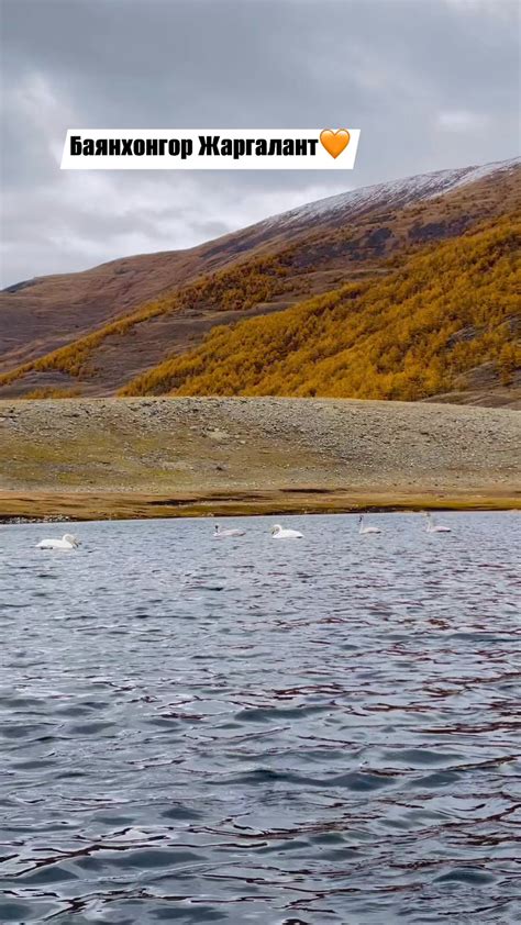 Өнгө мөнгийг урьтаж харсангүй Өөрт чинь би зөнгөөрөө даслаа даа 🤍 By Хөх толбот хүмүүн