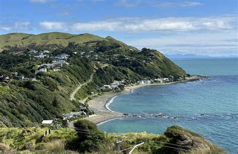 10 Best Trails And Hikes In Wellington Alltrails