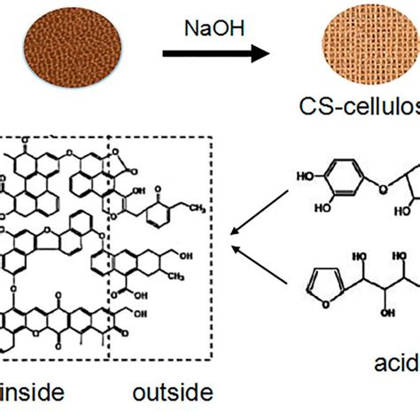 Schematic Illustration Of The Ccs Preparation Download Scientific