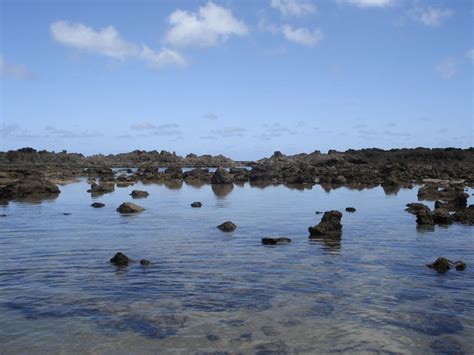 Sctp 04 By M3 Productions On Deviantart