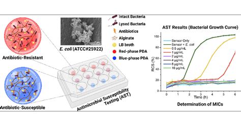 Portable Colorimetric Hydrogel Beads For Point Of Care Antimicrobial Susceptibility Testing