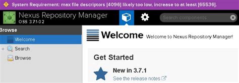 How To Increase The Descriptors In Nexus Server Fault