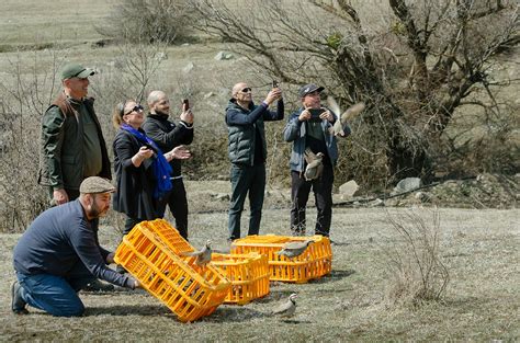 საშენი მეურნეობის ადგილობრივი ორნიტოფაუნა Facebook