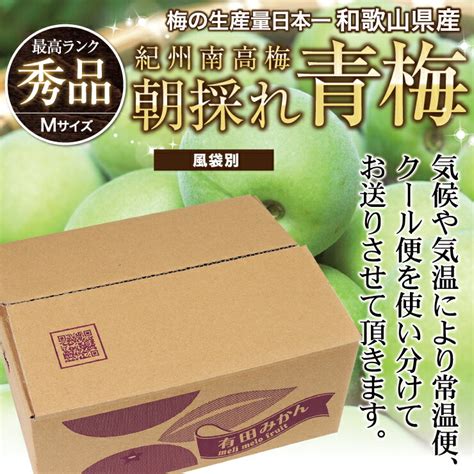 【楽天市場】青梅 梅酒用 送料無料 紀州南高梅 和歌山県産 紀州 南高梅 朝採れ青梅 Mサイズ 10kg 10キロ 生梅 青色梅 産地直送