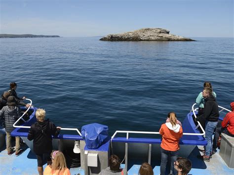 Most Beautiful Sites To Visit In Saint Pierre And Miquelon Tourism Saint Pierre And Miquelon